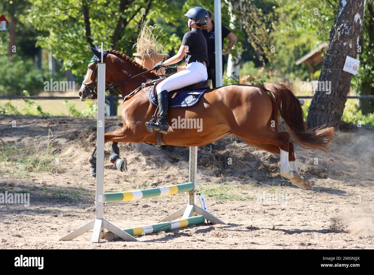 official show jumping tournaments in germany Stock Photo - Alamy