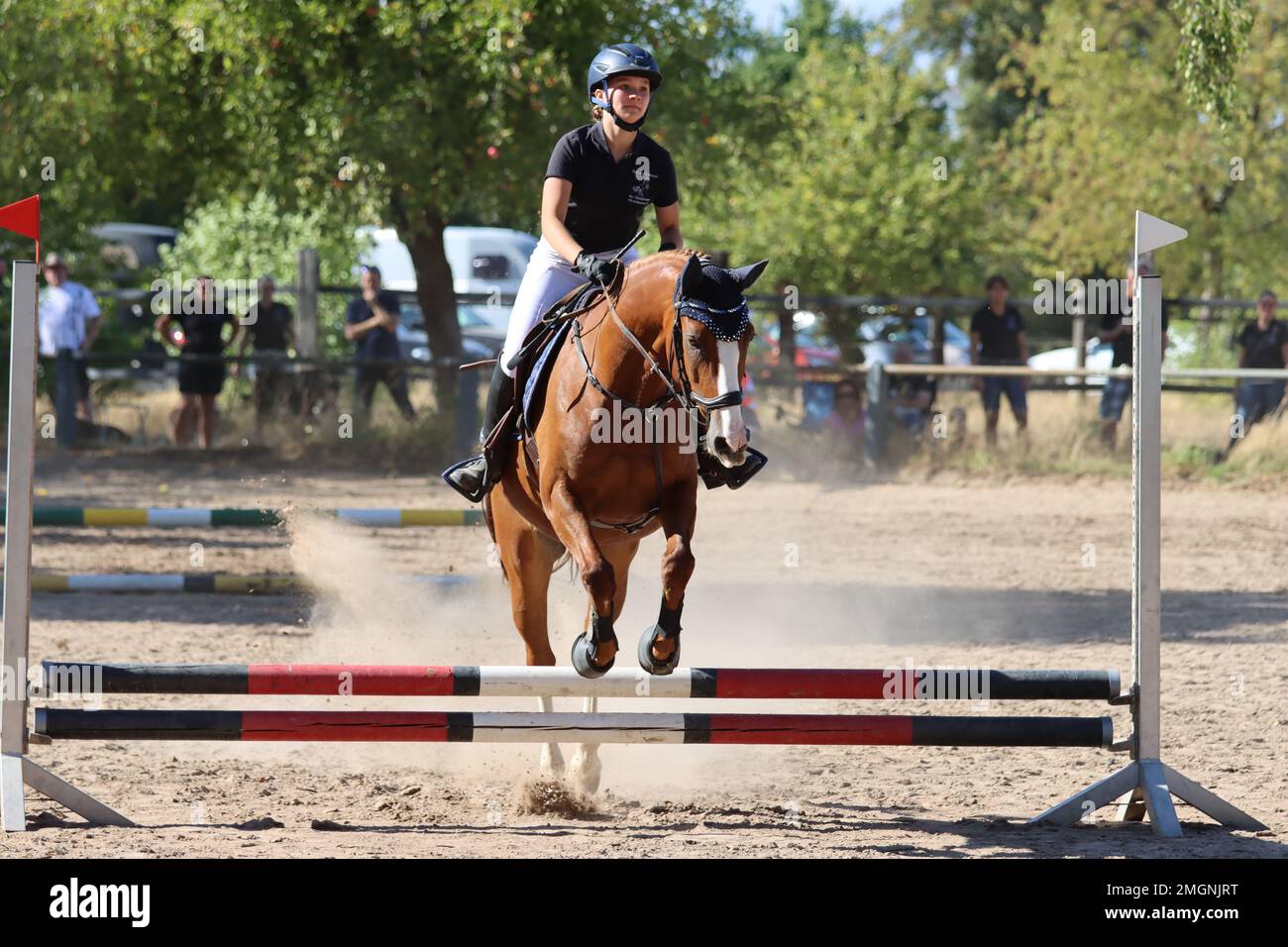 Zaumzeug sattel hi-res stock photography and images - Alamy