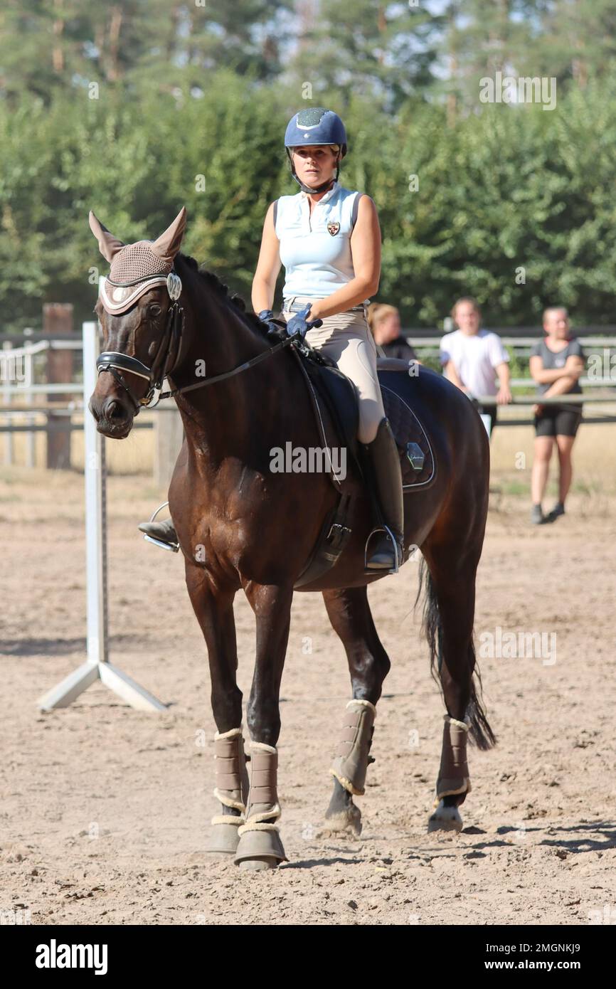 official show jumping tournaments in germany Stock Photo - Alamy