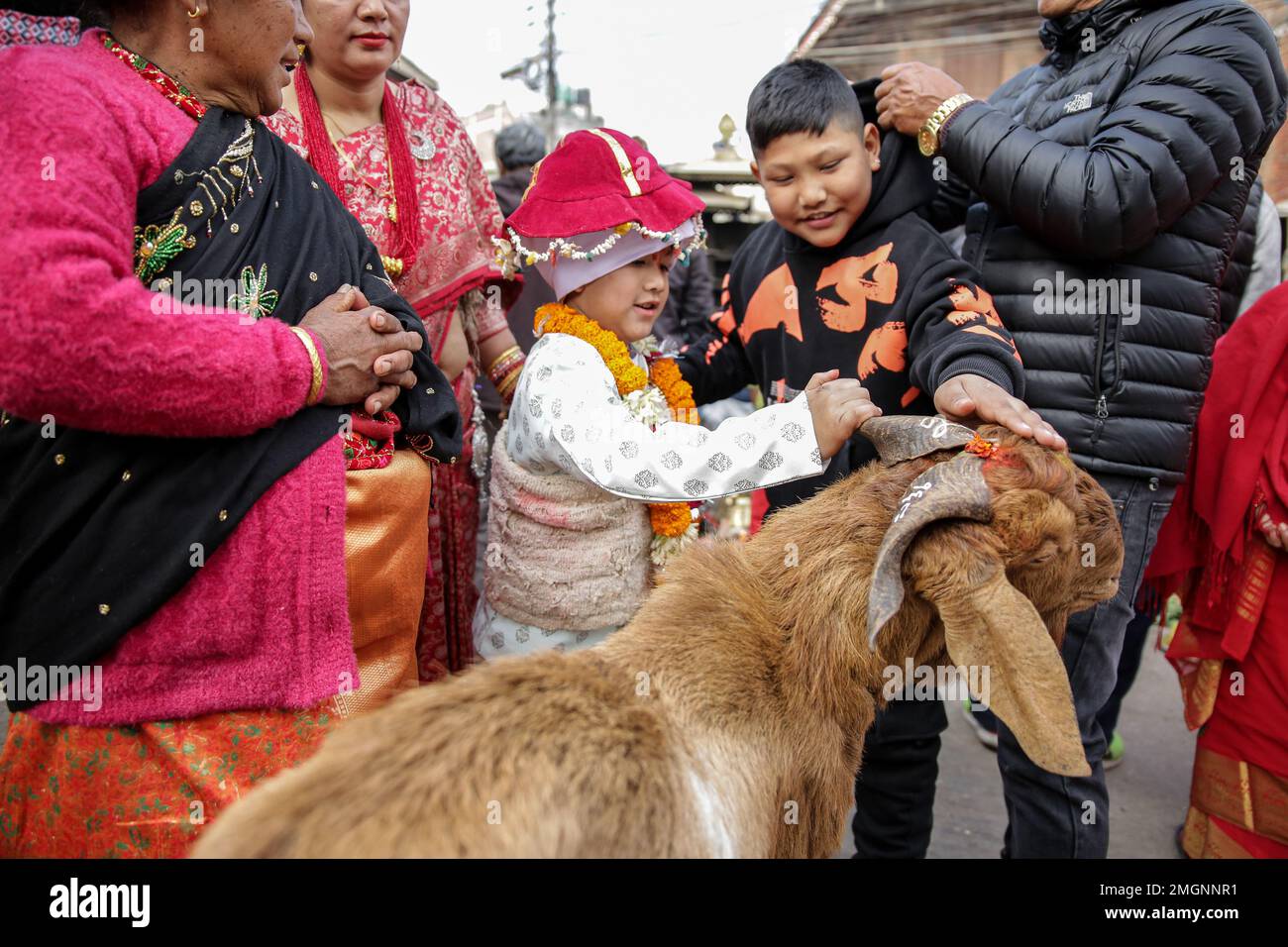 January 26, 2023, Nepal: A young boys play with a goat before it is ...