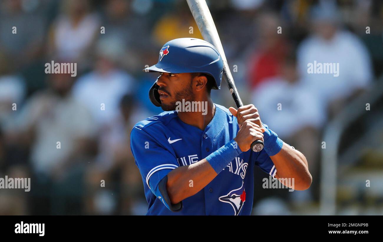 Toronto Blue Jays' Josh Palacios plays during a spring training ...