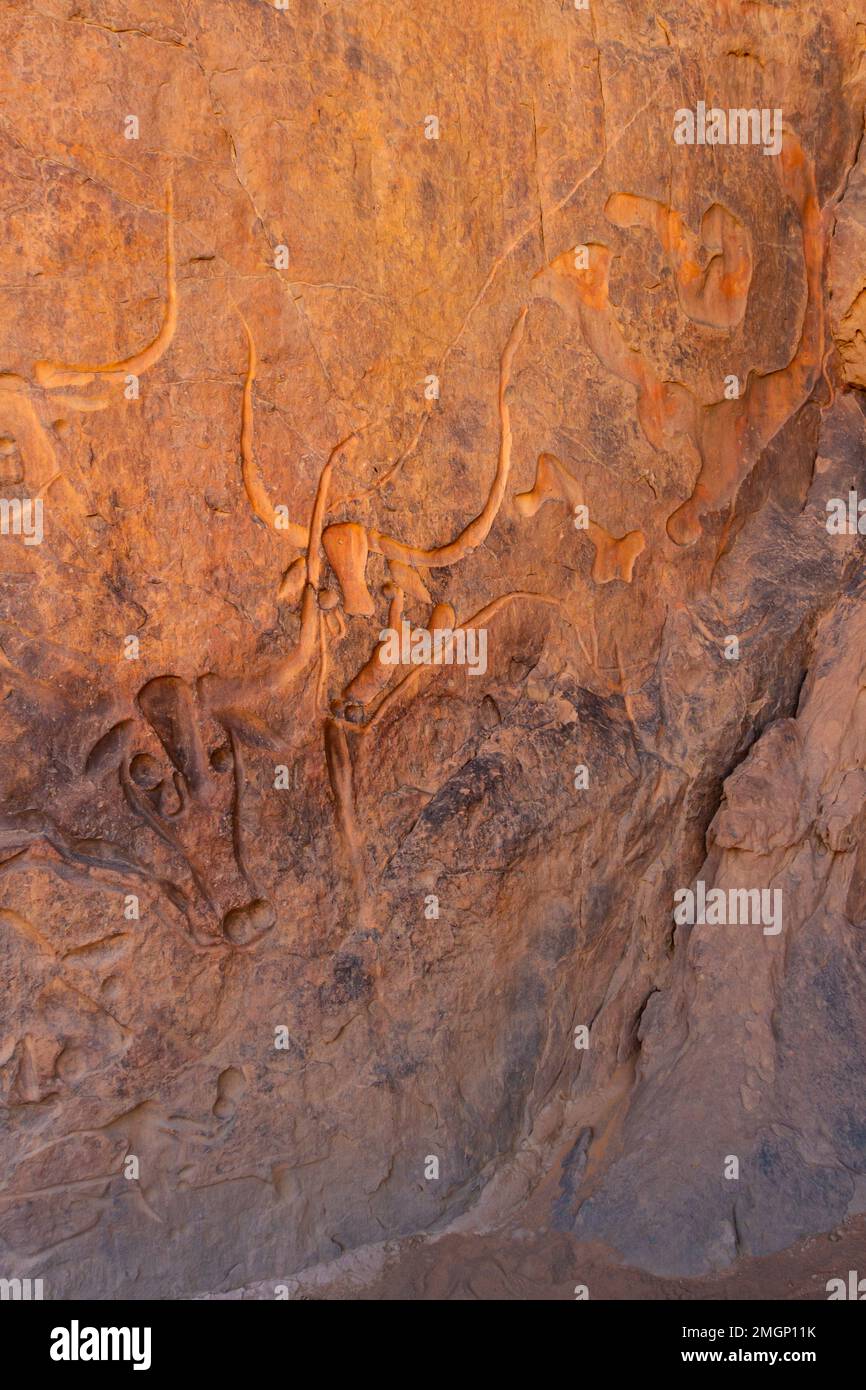 Famous rock relief carving of a crying cow at Tegharghart, near Djanet ...