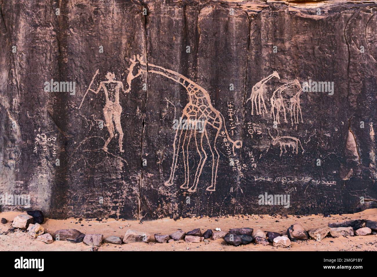 Neolithic rock art. Prehistoric rock engraving depicting a human and a giraffe. Tadrart Rouge ...
