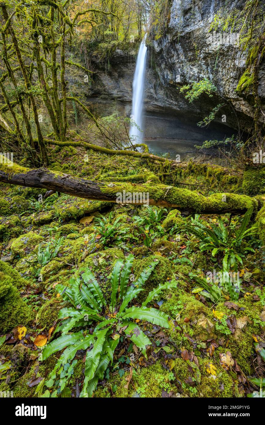 The Dorche, wild river of the Ain. River labelled "wild river" for its ...