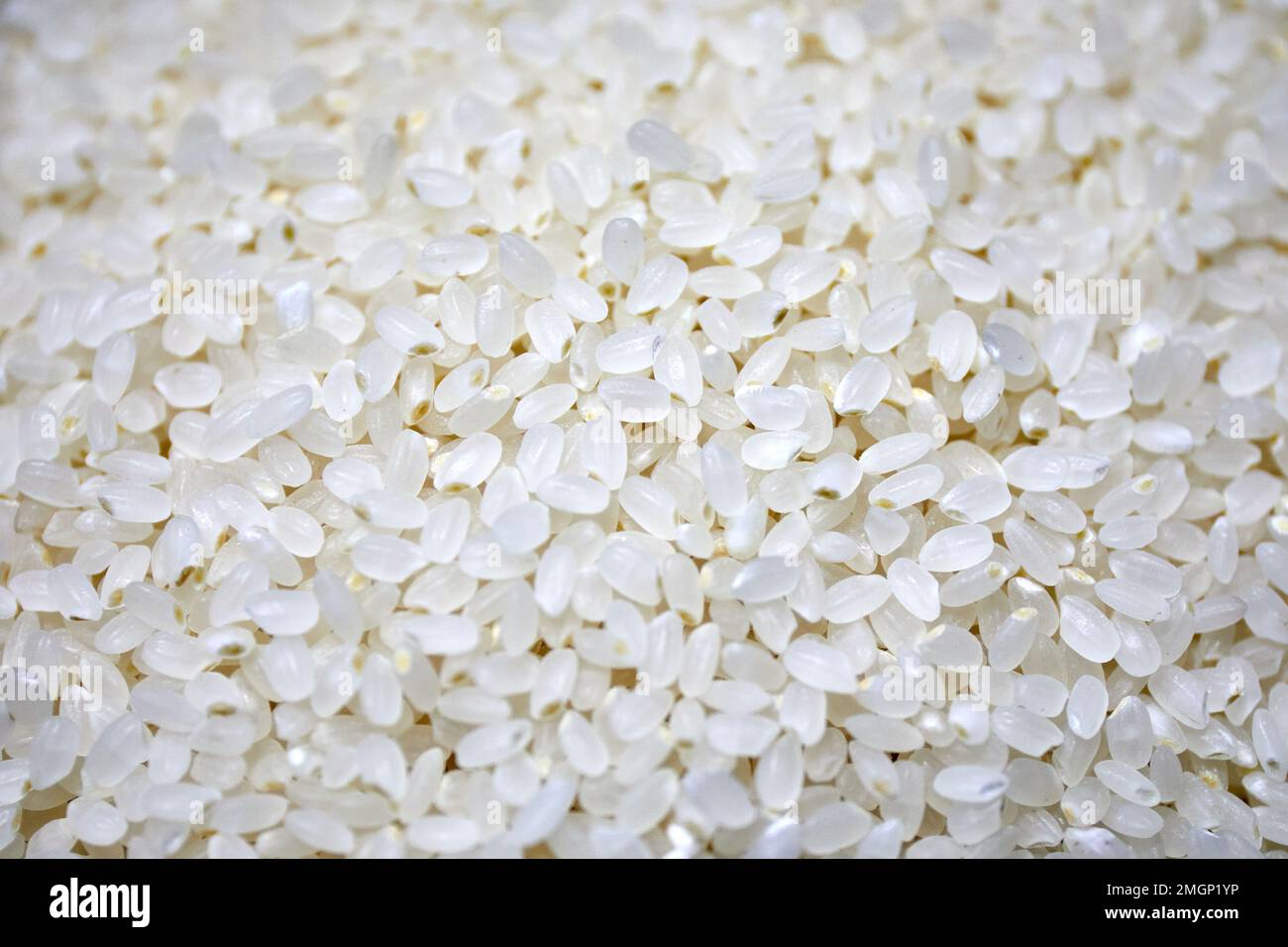 Rice (Japanese), close-up Stock Photo - Alamy