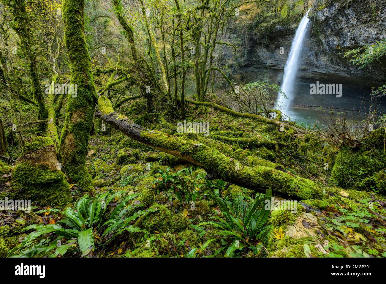 The Dorche, wild river of the Ain. River labelled "wild river" for its ...