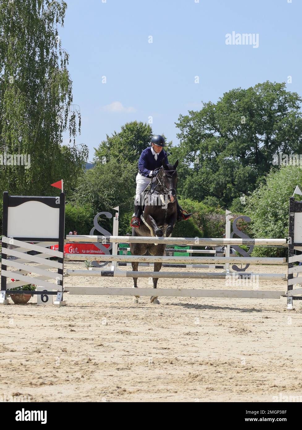official show jumping tournaments in germany Stock Photo - Alamy