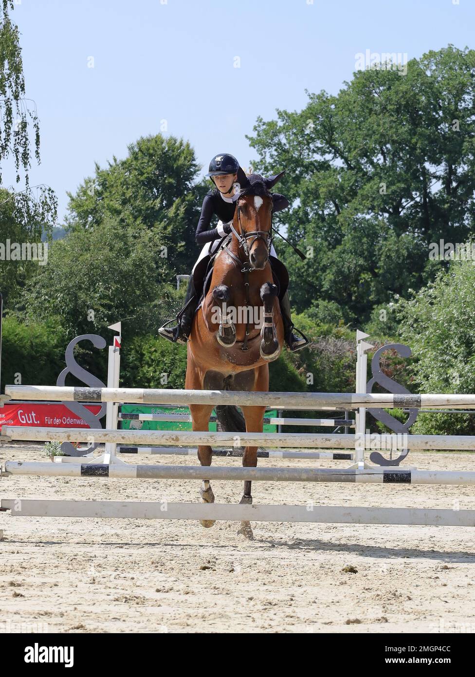 official show jumping tournaments in germany Stock Photo - Alamy