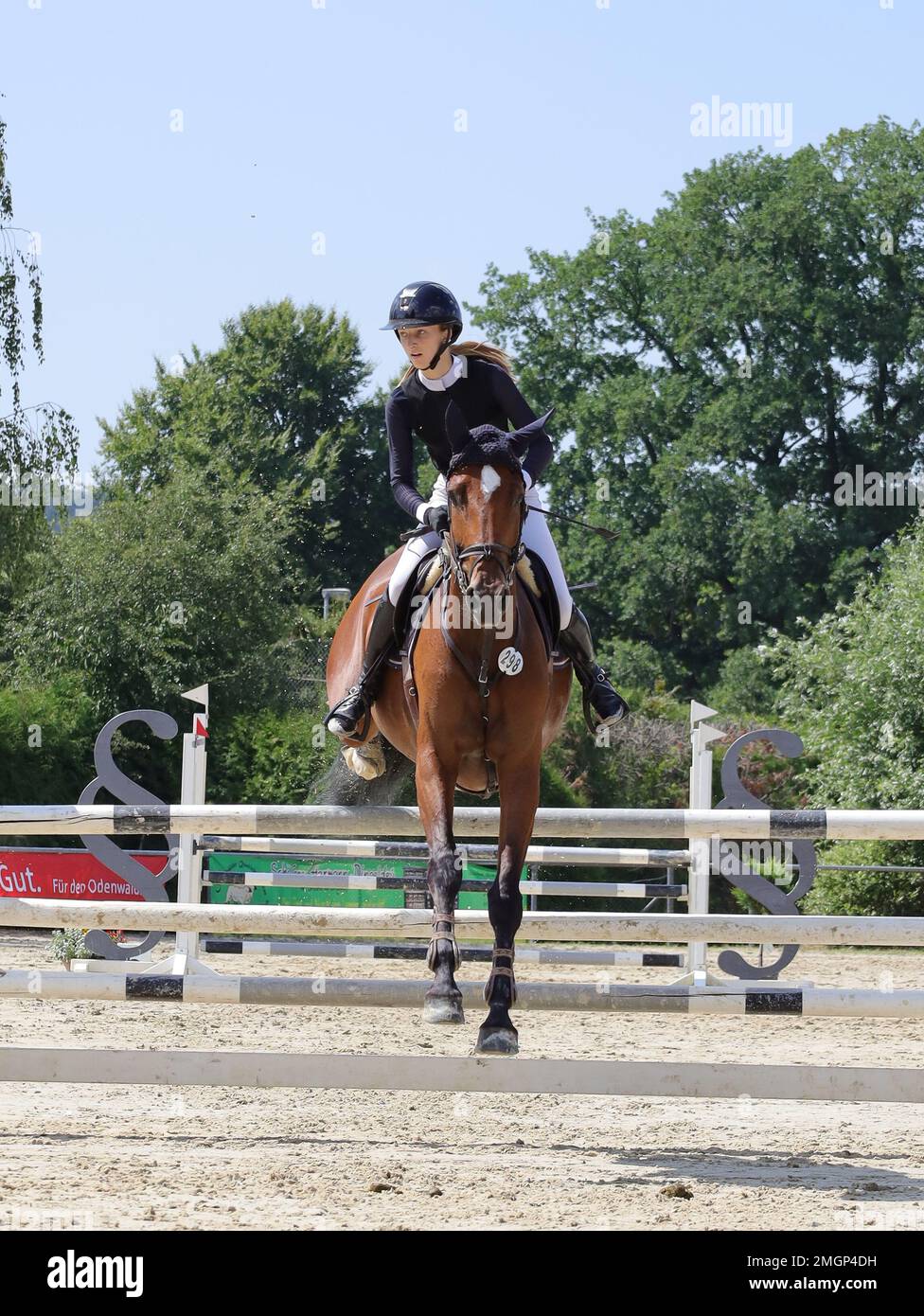 official show jumping tournaments in germany Stock Photo - Alamy