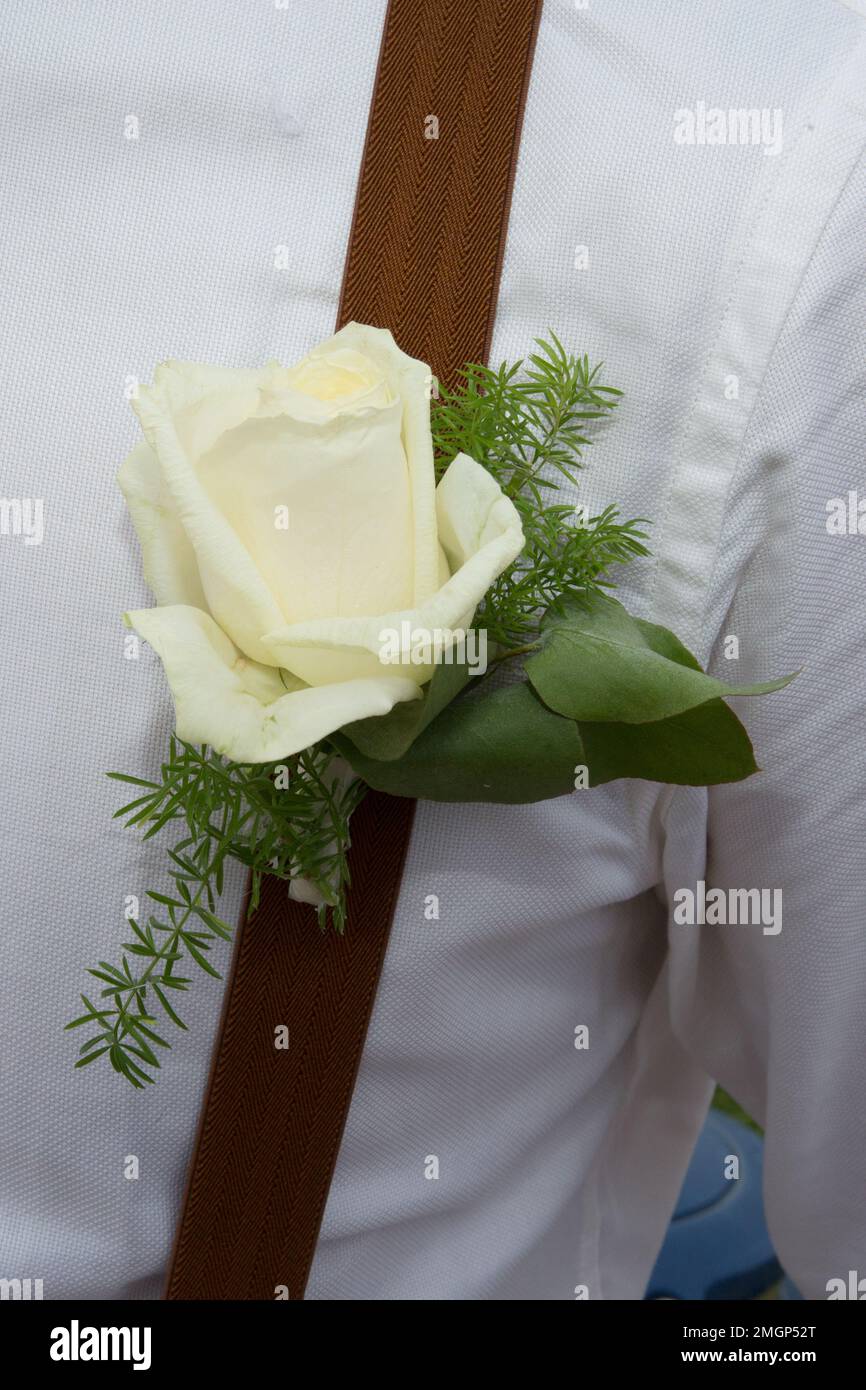 Elegant groom in brown costume, bow-tie and suspenders Stock Photo - Alamy
