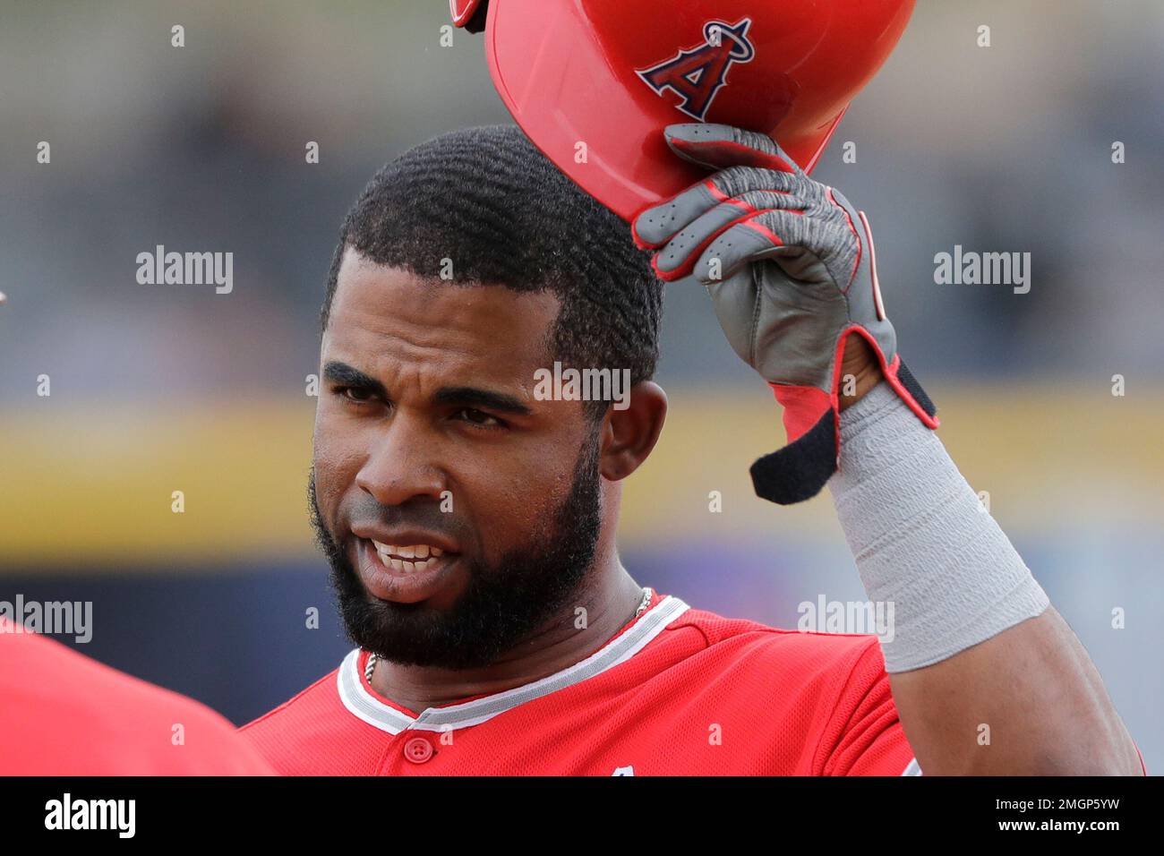 Los Angeles Angels' Arismendy Alcantara pulls off his batting helmet ...