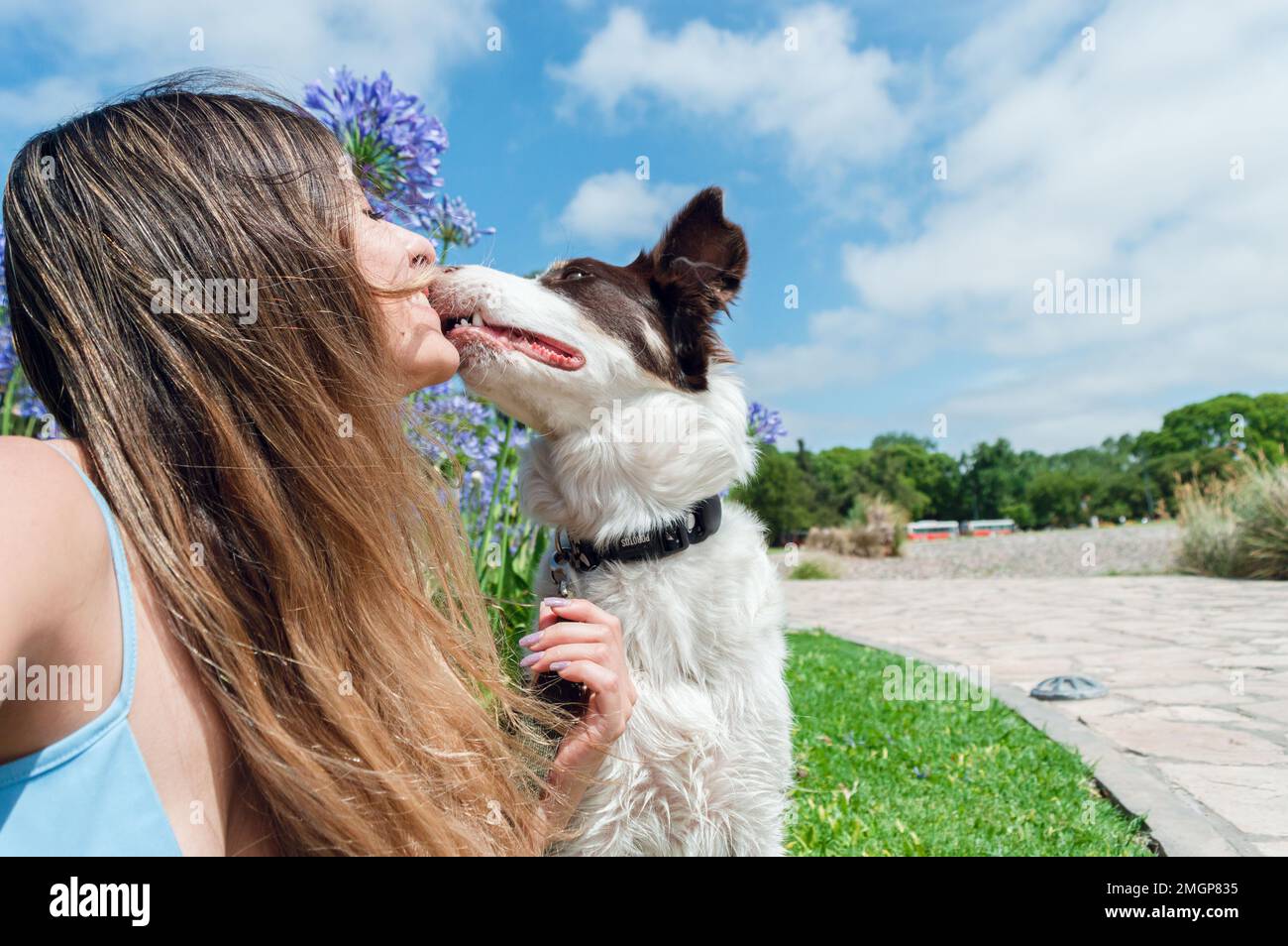 Woman kissing dog tongue hi-res stock photography and images - Alamy
