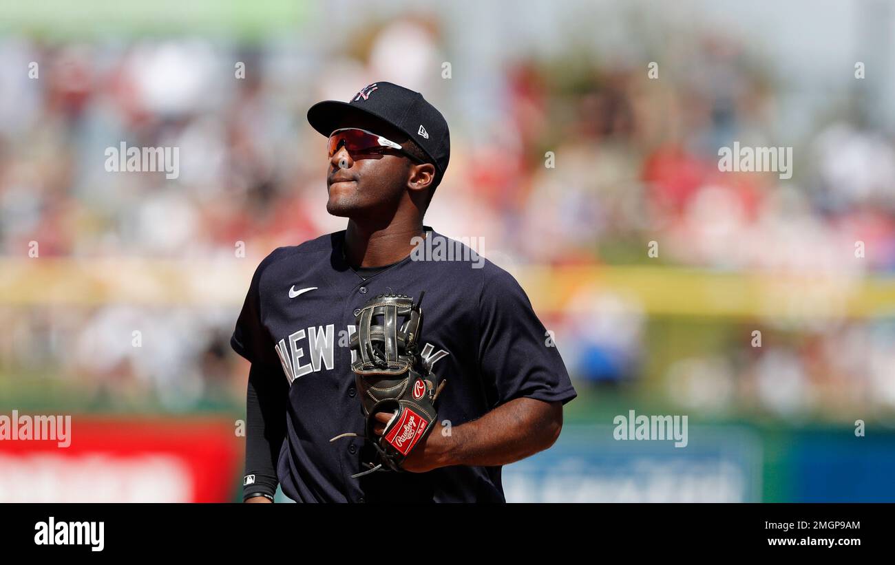 New York Yankees' Josh Stowers runs to the dugout during a spring ...
