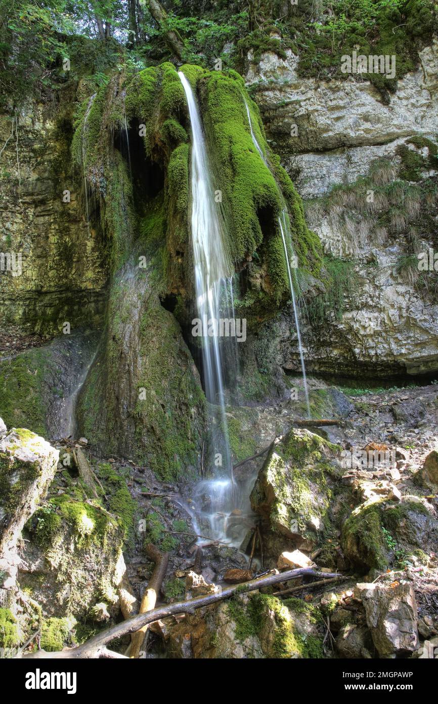 Dragon-Mouth waterfall in the Wutach Gorge in the Germany Black Forest ...