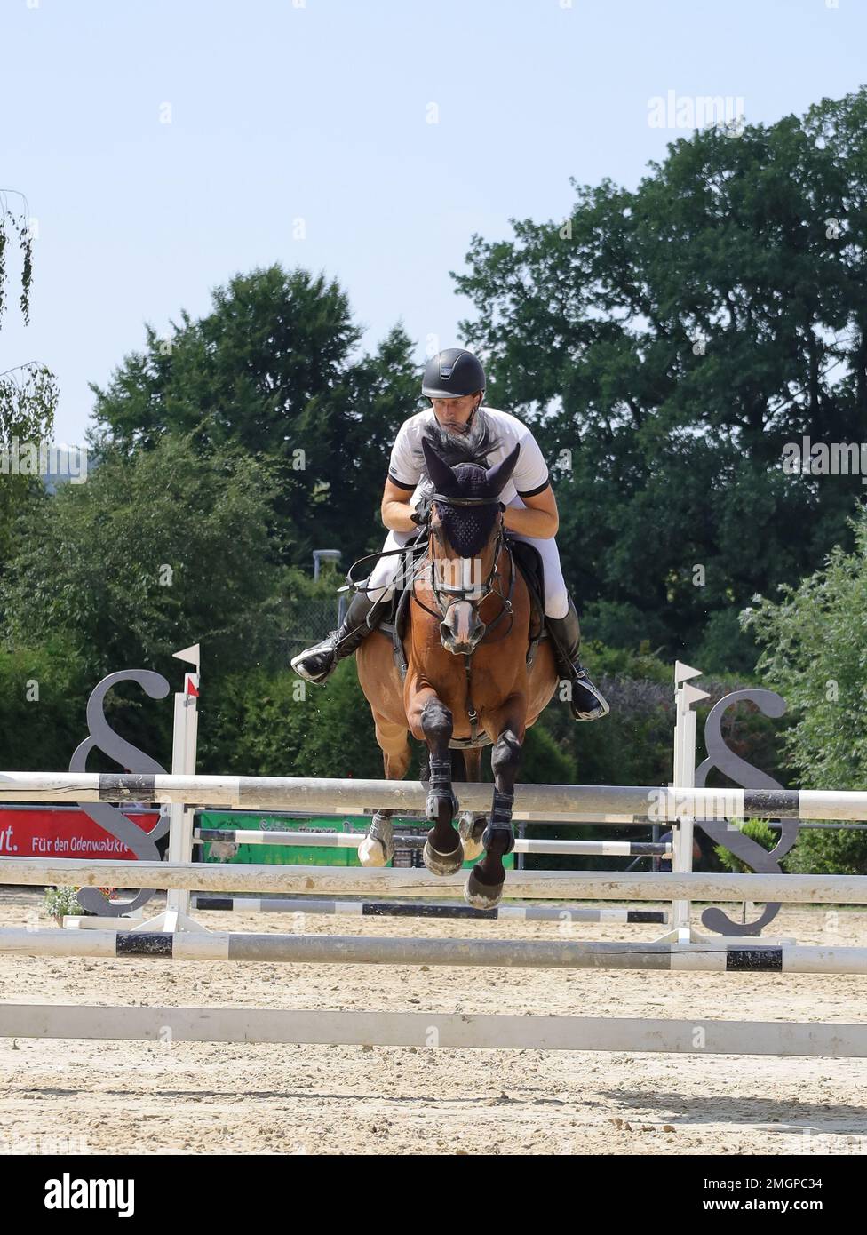 official show jumping tournaments in germany Stock Photo - Alamy