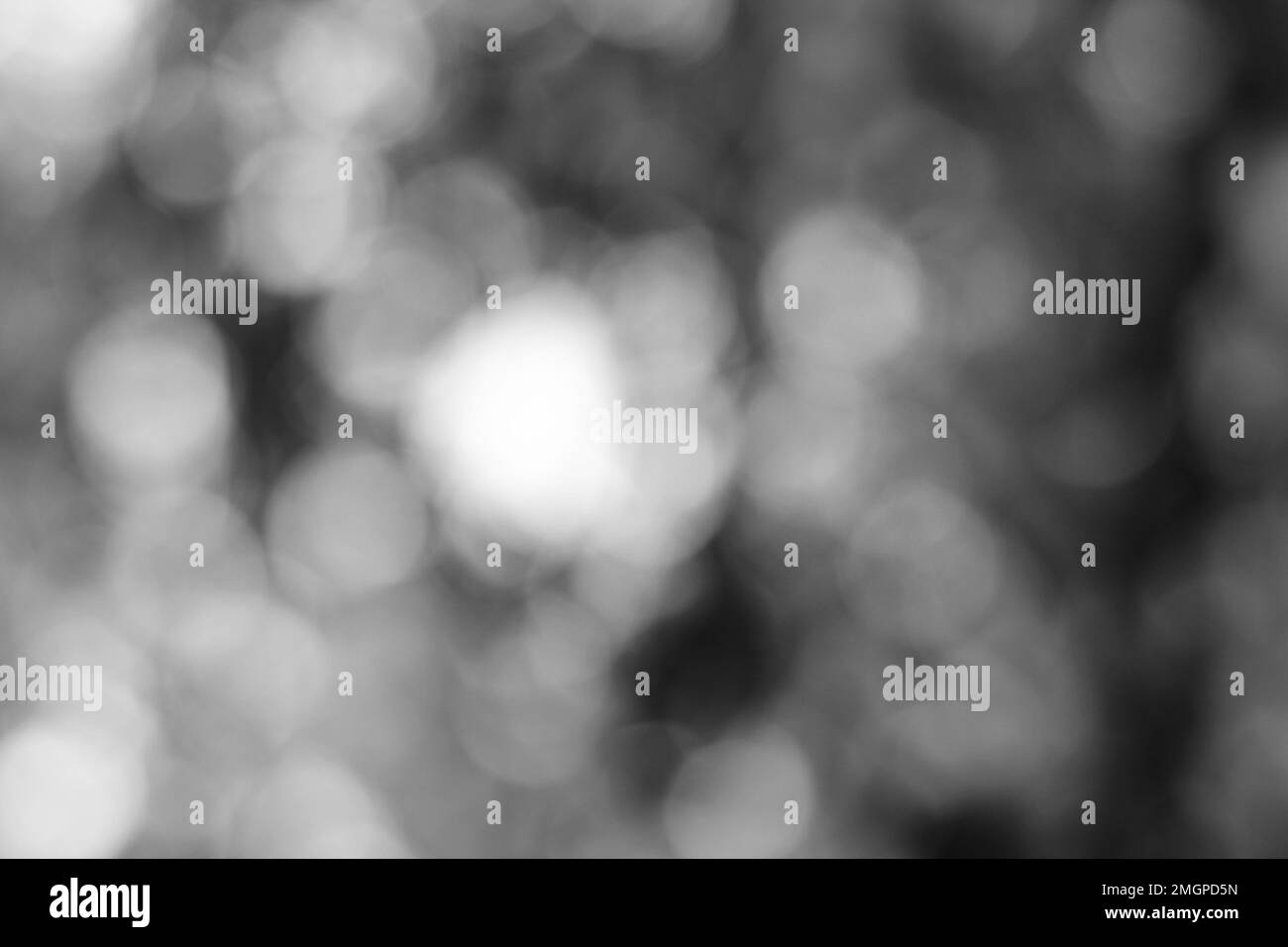 The summer sunlight shimmering thru the leafy trees on a bright summer ...