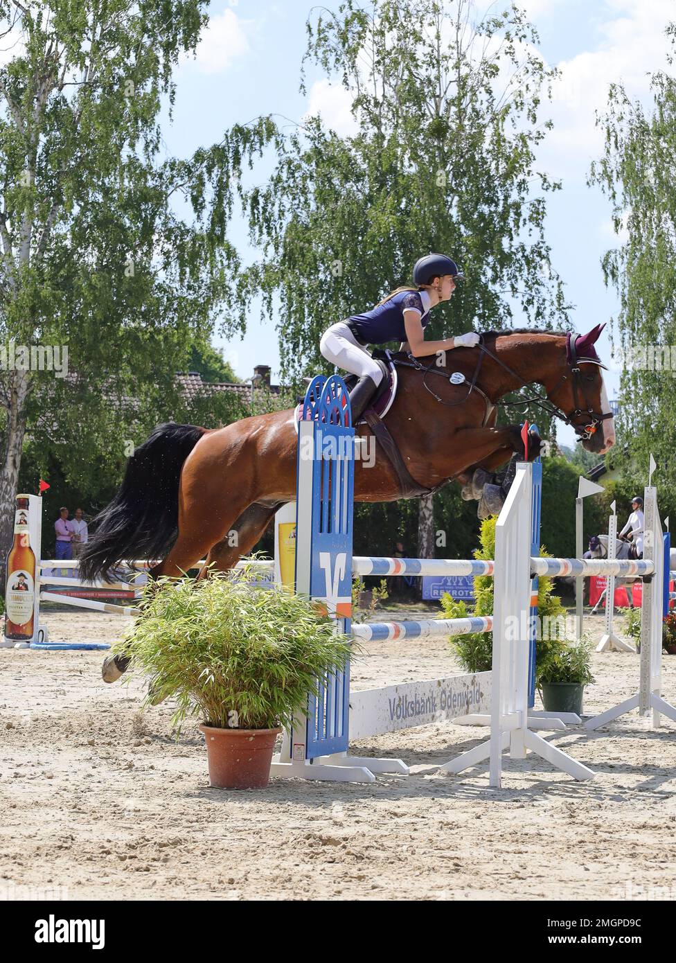 official show jumping tournaments in germany Stock Photo - Alamy