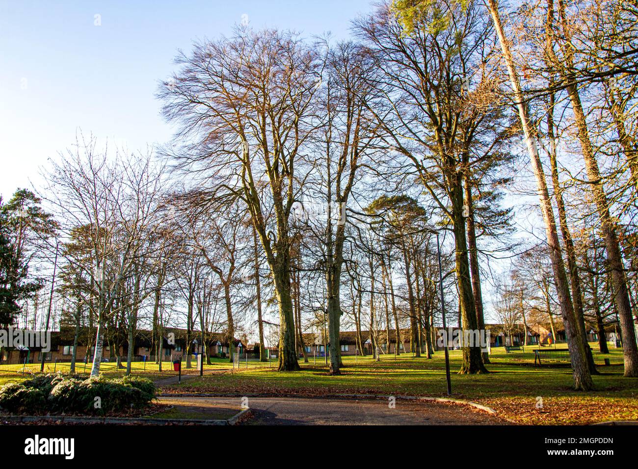 Dundee, Tayside, Scotland, UK. 26th Jan, 2023. UK Weather: Northeast ...