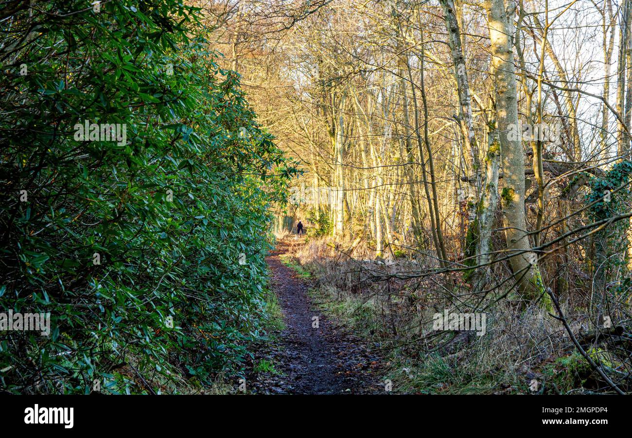 Ardler village hi-res stock photography and images - Alamy