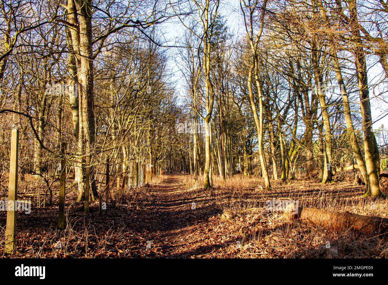 Dundee, Tayside, Scotland, UK. 26th Jan, 2023. UK Weather: Northeast ...