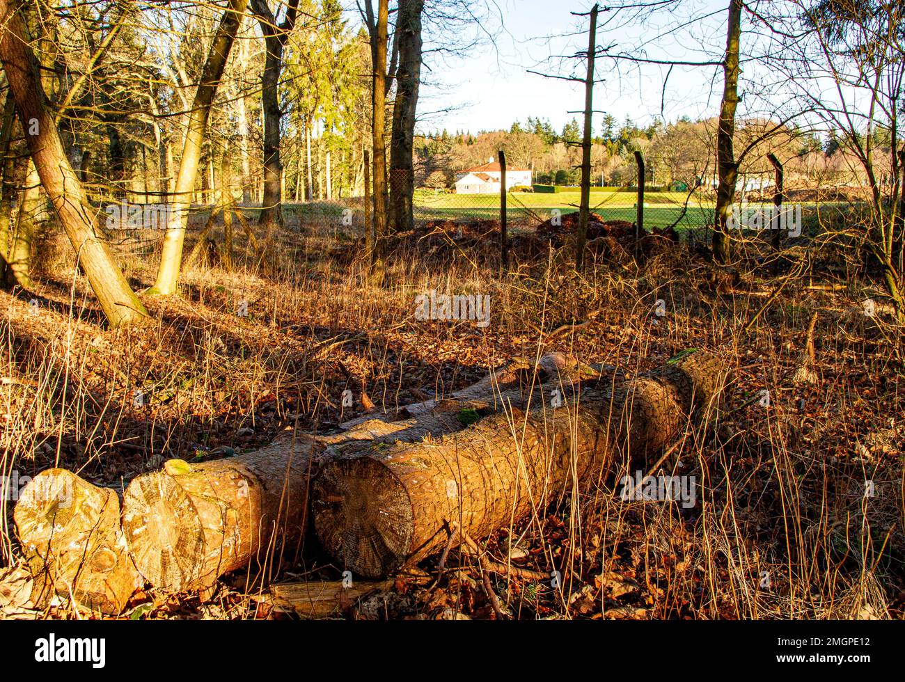 Ardler village hi-res stock photography and images - Alamy