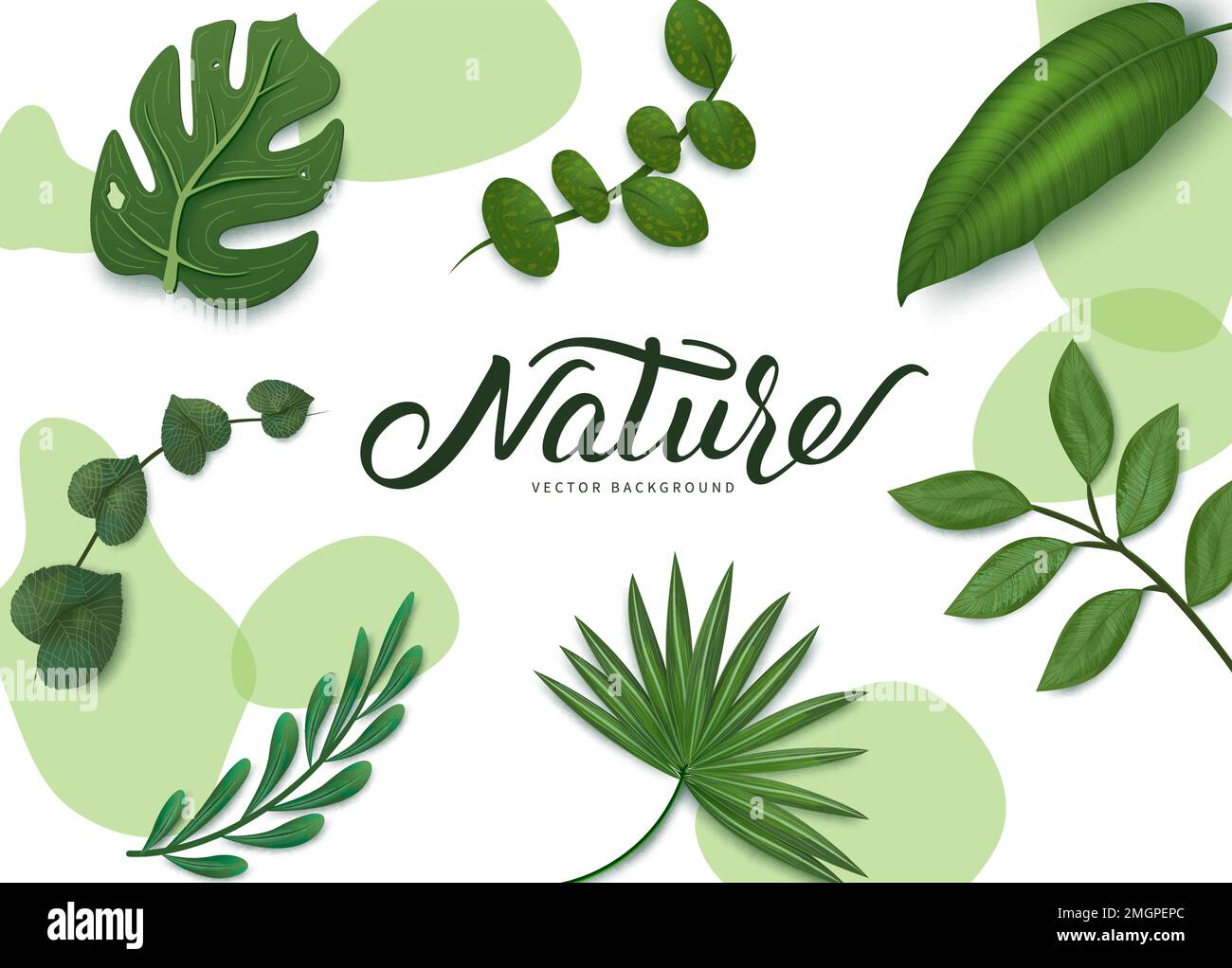 Nature vector background. Nature vector background text with leaves ...
