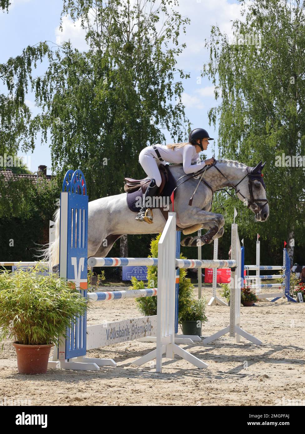 official show jumping tournaments in germany Stock Photo - Alamy