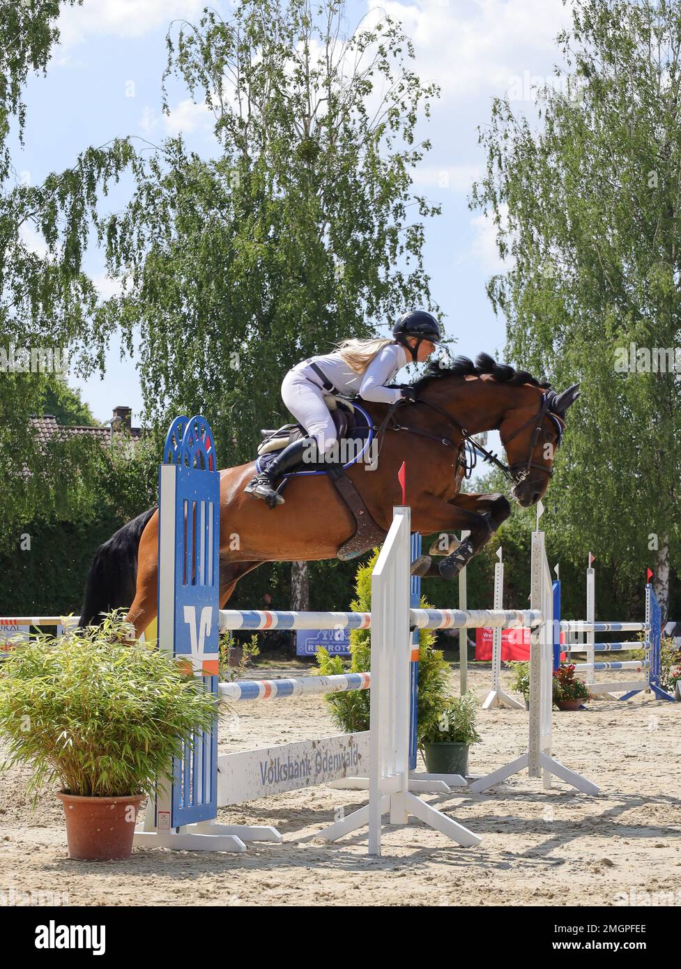 official show jumping tournaments in germany Stock Photo - Alamy