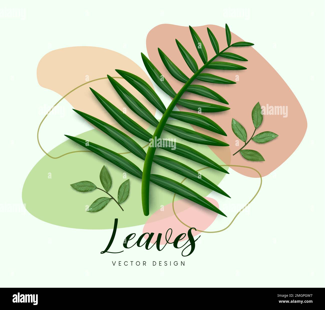 Leaves vector design. Leaves vector text with palm leaf elements in ...