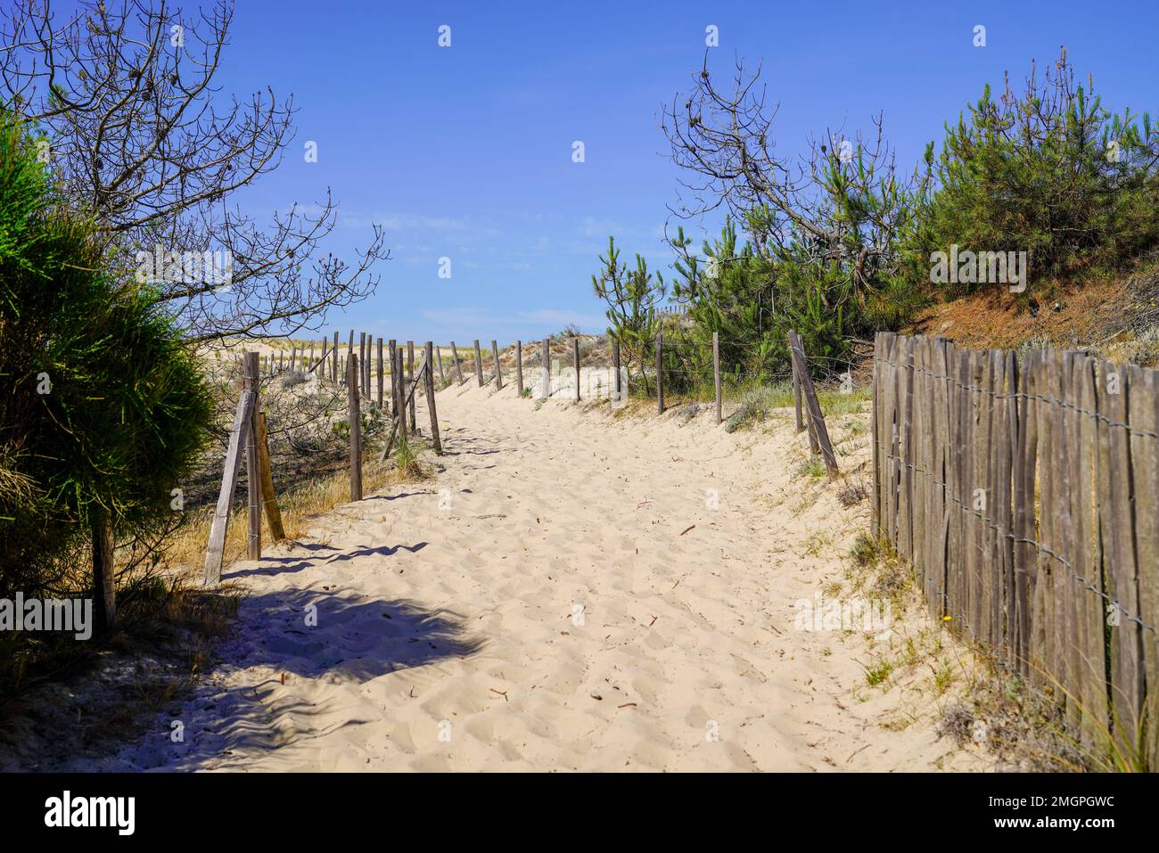 Sand path access to sea beach with fence at le Porge ocean atlantic ...