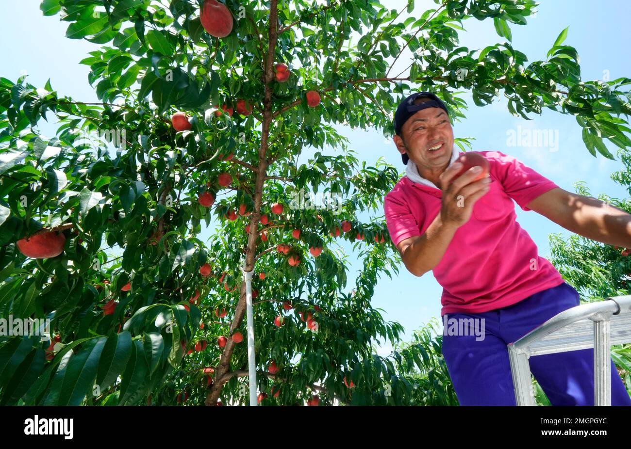 IMAGE DISTRIBUTED FOR FUKUSHIMA PREFECTURE - In this image released on Monday, March 9, 2020 ...