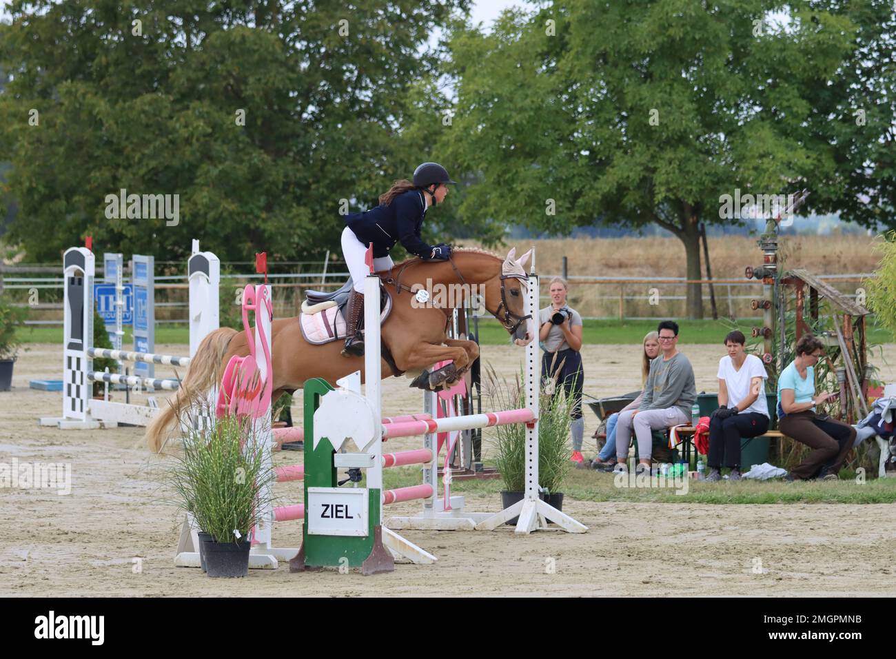 official show jumping tournaments in germany Stock Photo - Alamy