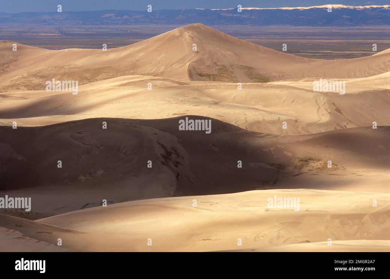 USA, Colorado, Great Sand Dunes National Park and Preserve. Sand dunes ...