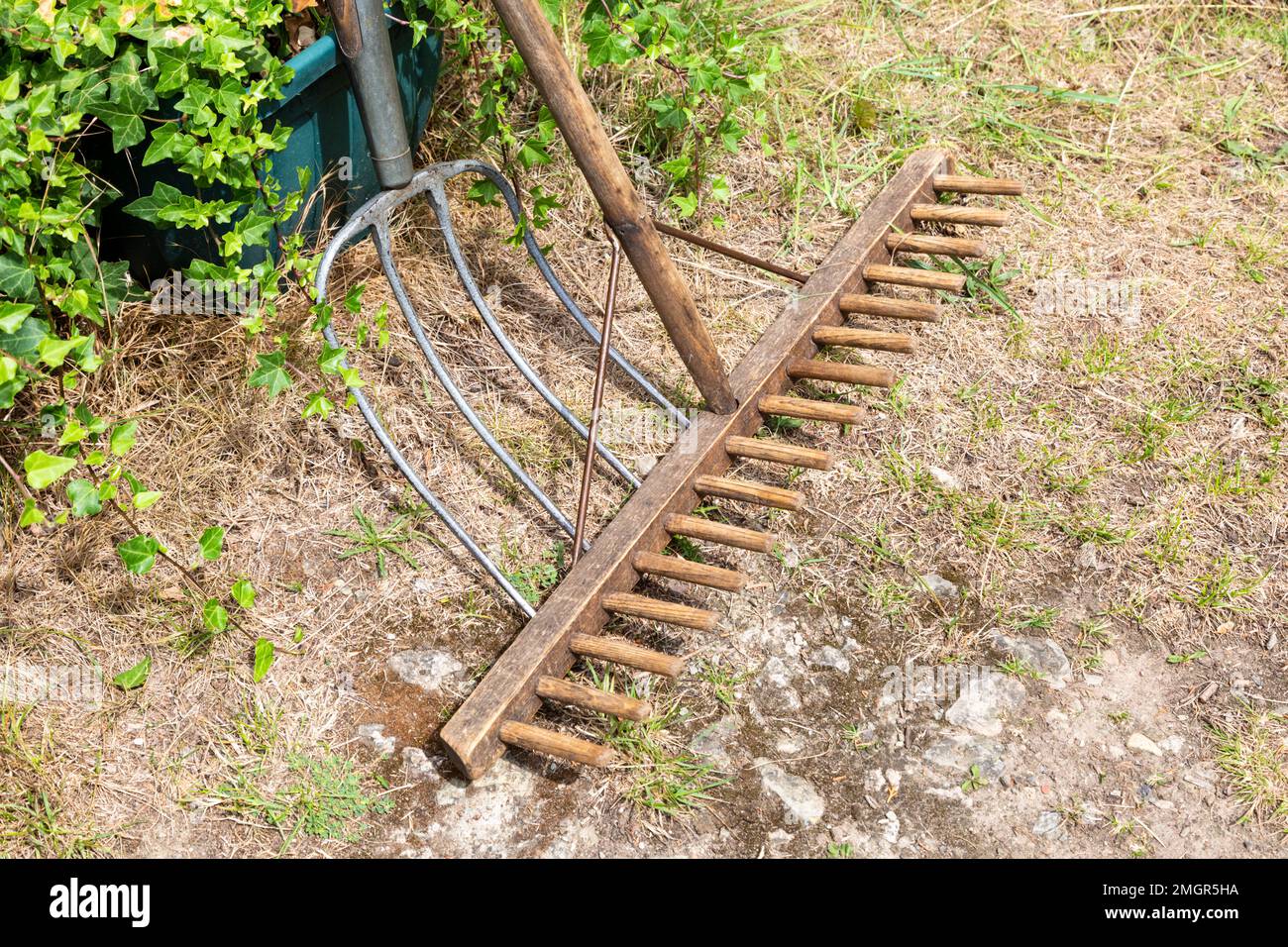 Wooden rake on a rough patch of grass Stock Photo - Alamy