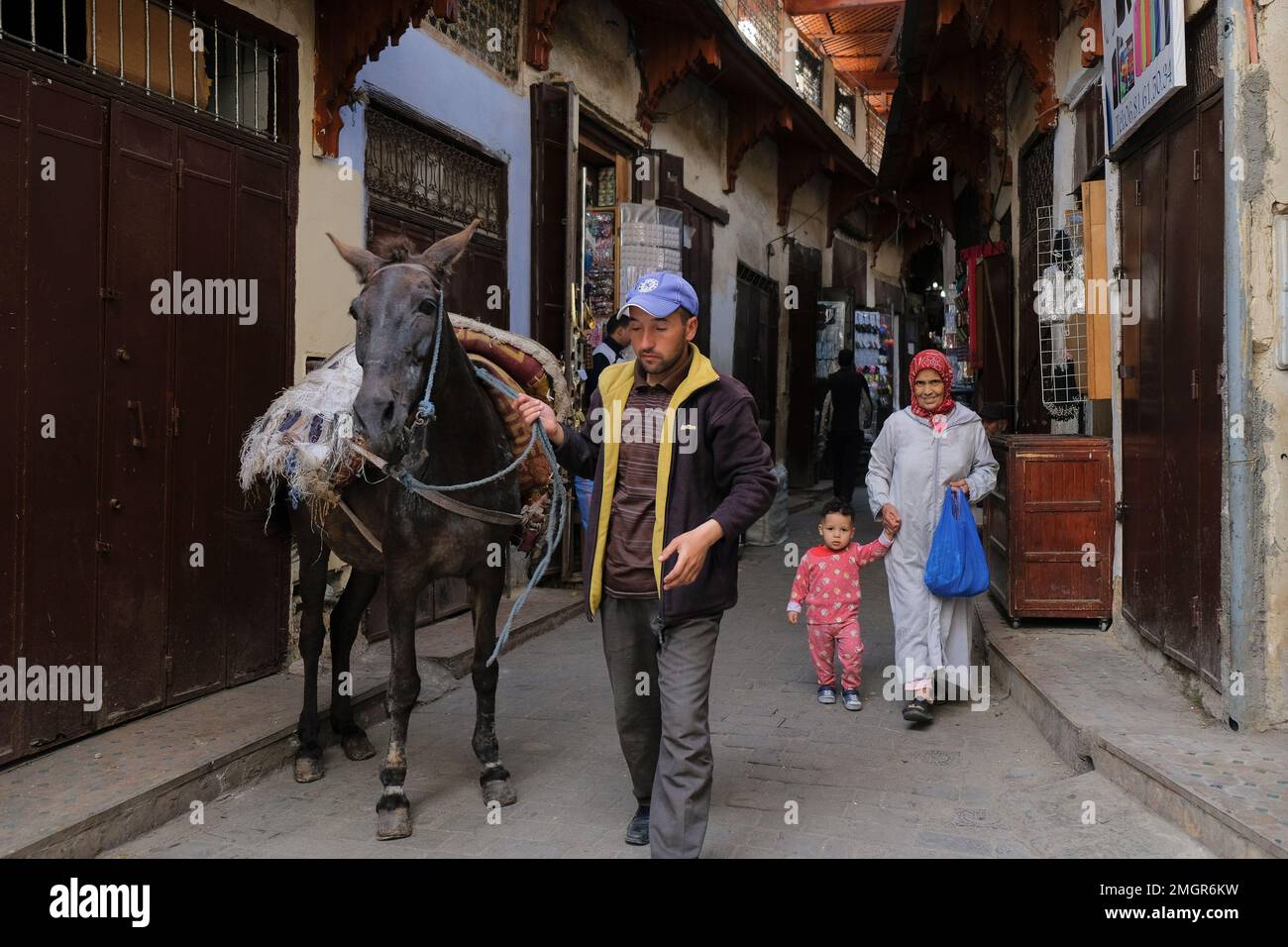 Fez, Morocco - man pulls a domestic mule through narrow street in Fes ...