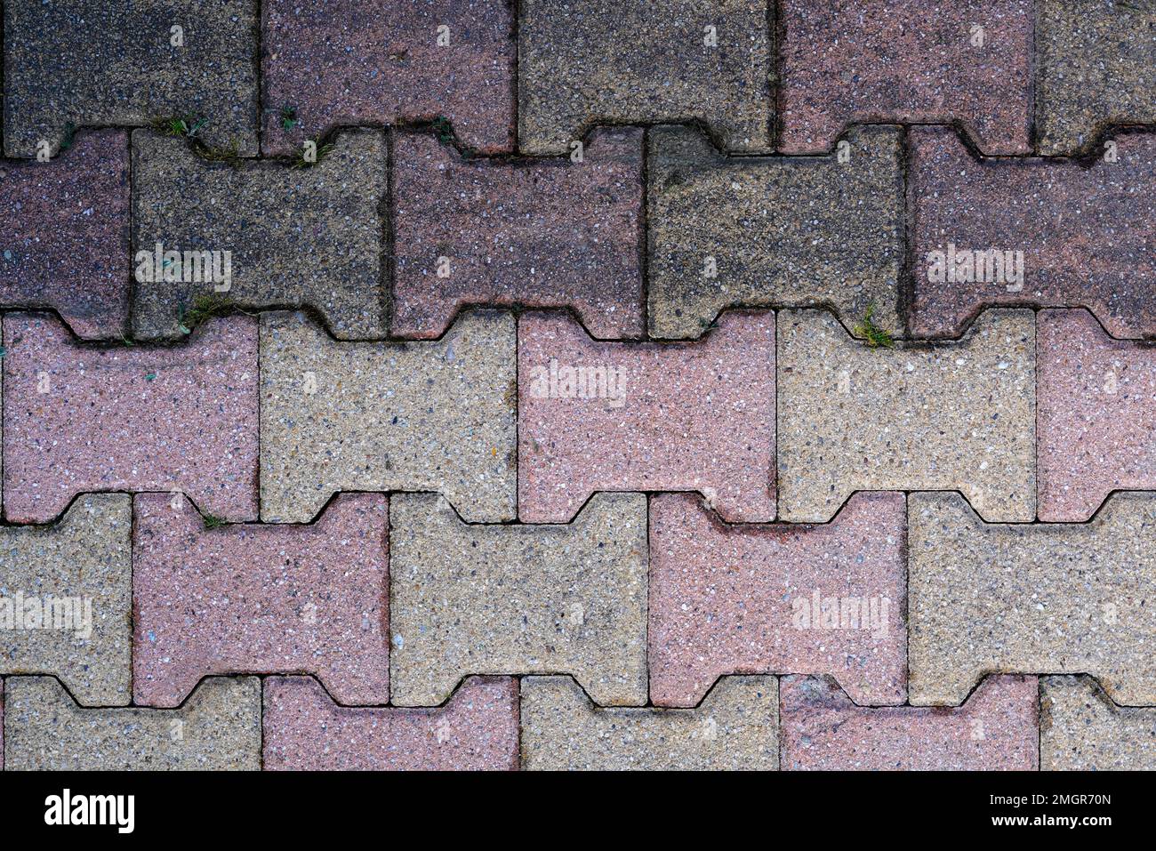 garden paved path wash half clean and dirty after an anti-foam and high ...