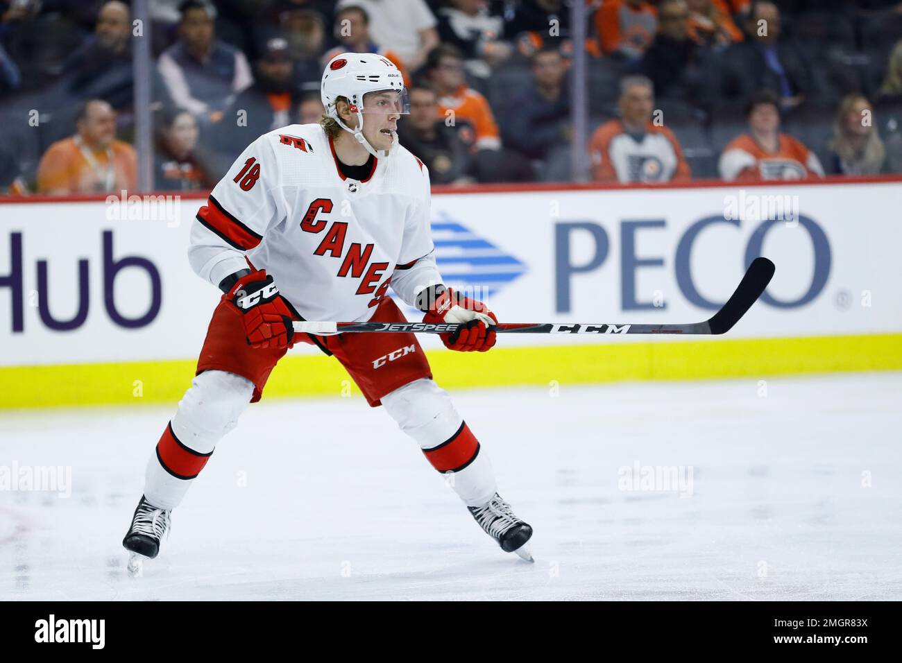 Carolina Hurricanes' Ryan Dzingel plays during an NHL hockey game ...