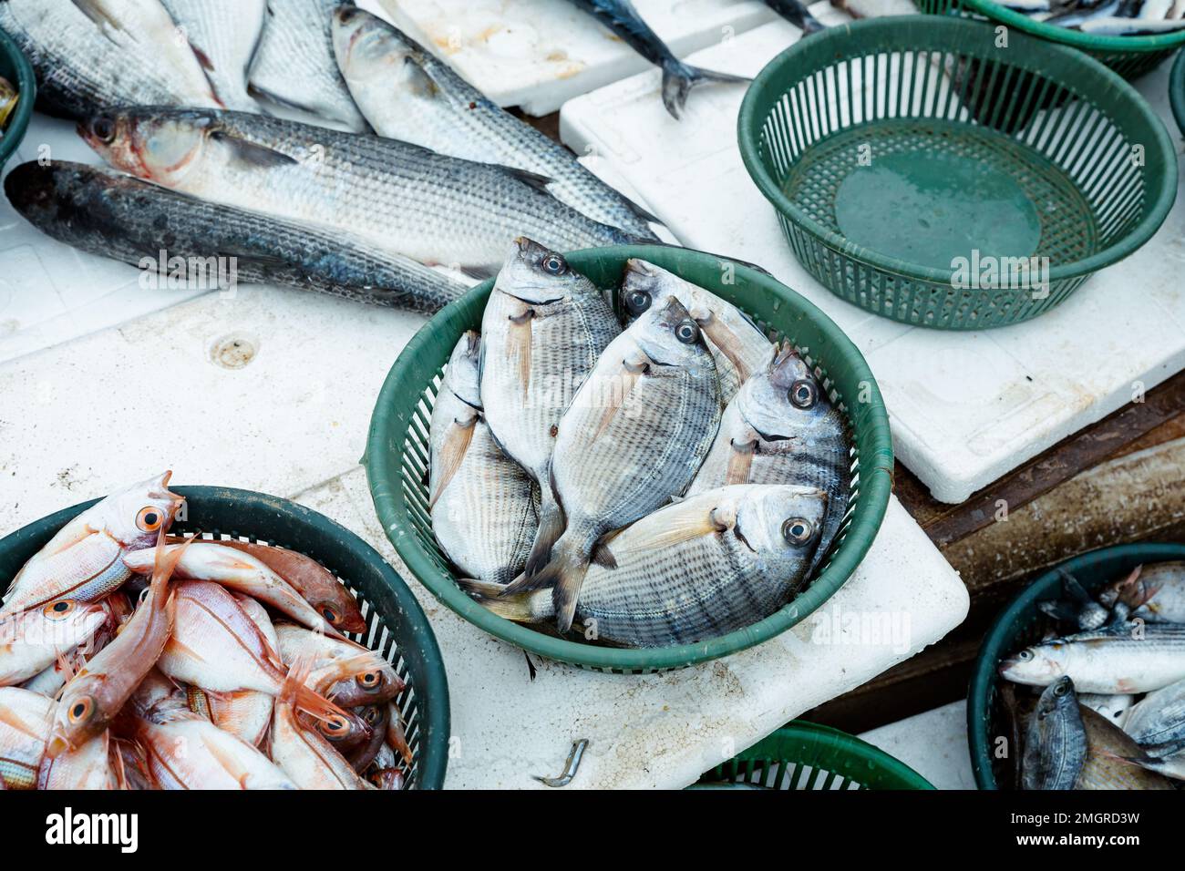 Fresh fish in traditional food market in Beirut, Lebanon. Fish placed ...
