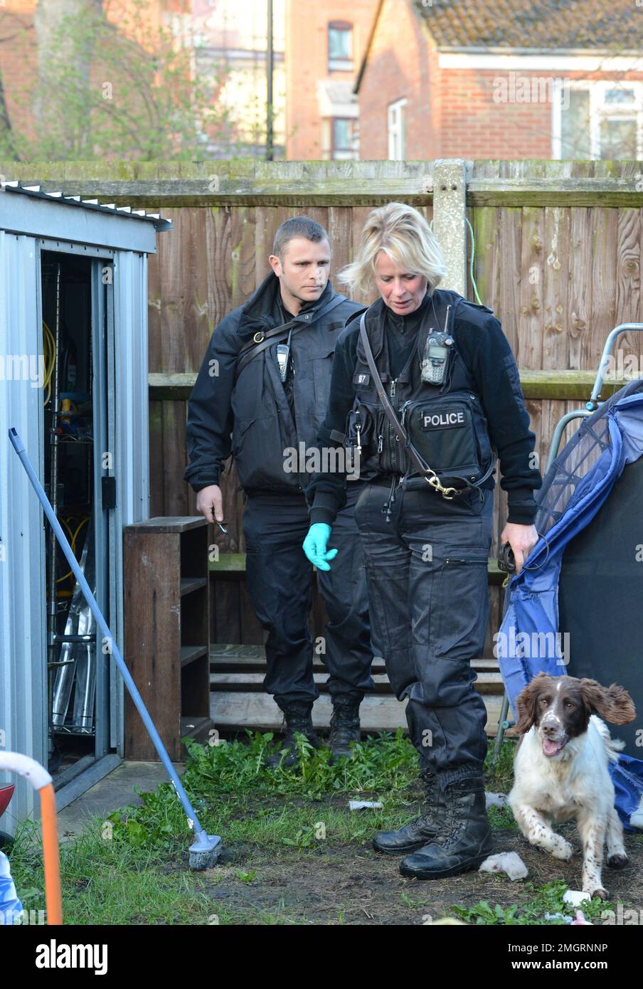 A police sniffer dog in Gloucester where one of a series of dawn raids ...