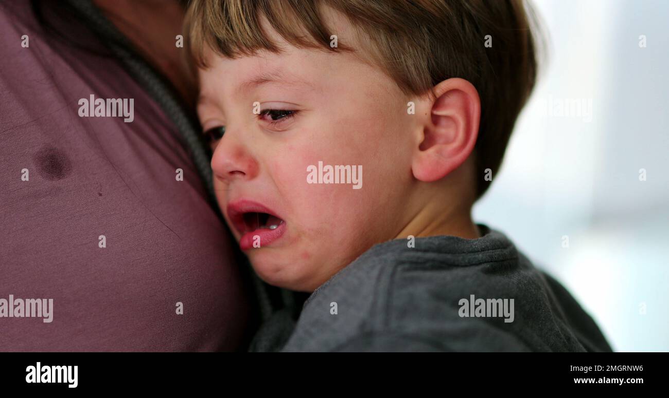 Tearful child crying little boy cries Stock Photo - Alamy Tearful child crying little boy cries Stock Photo - Alamy