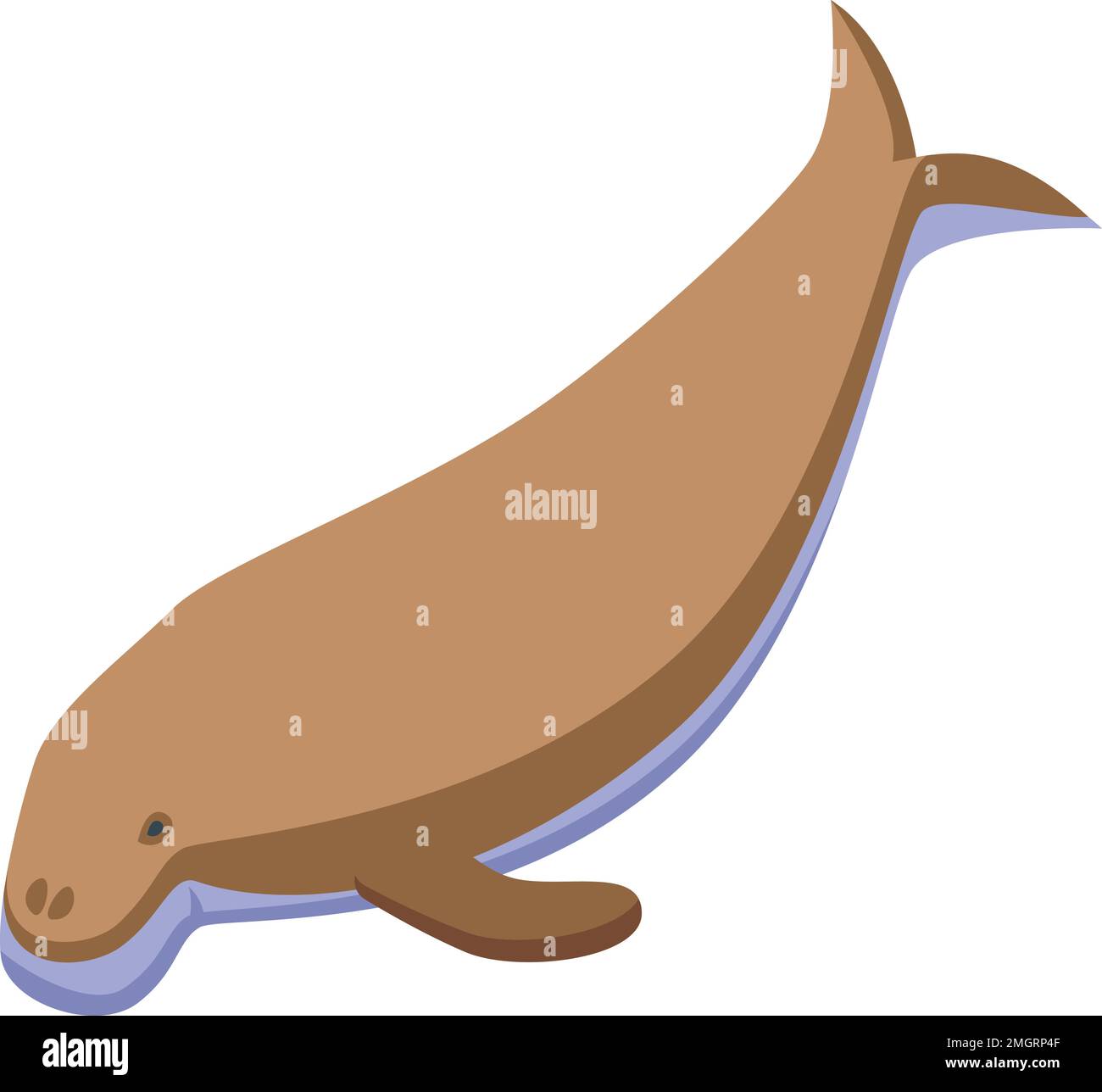 Dugong icon isometric vector. Sea animal. Underwater mammal Stock ...