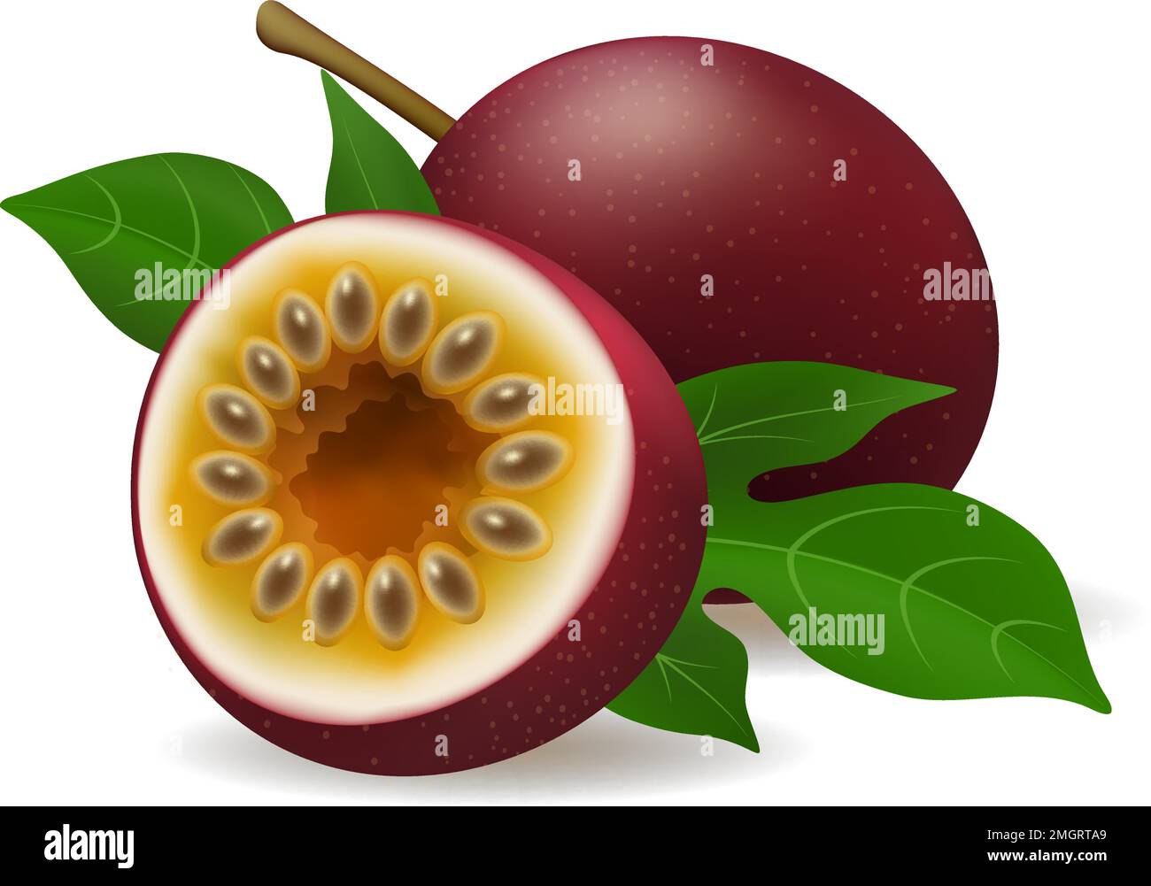 Realistic Passion Fruit Stock Vector Image And Art Alamy