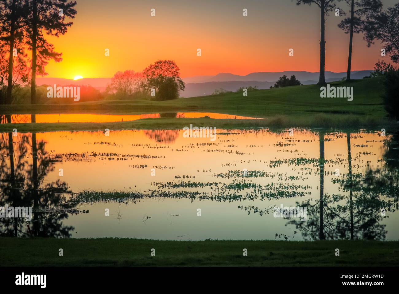 Porto alegre, brazil hi-res stock photography and images - Alamy