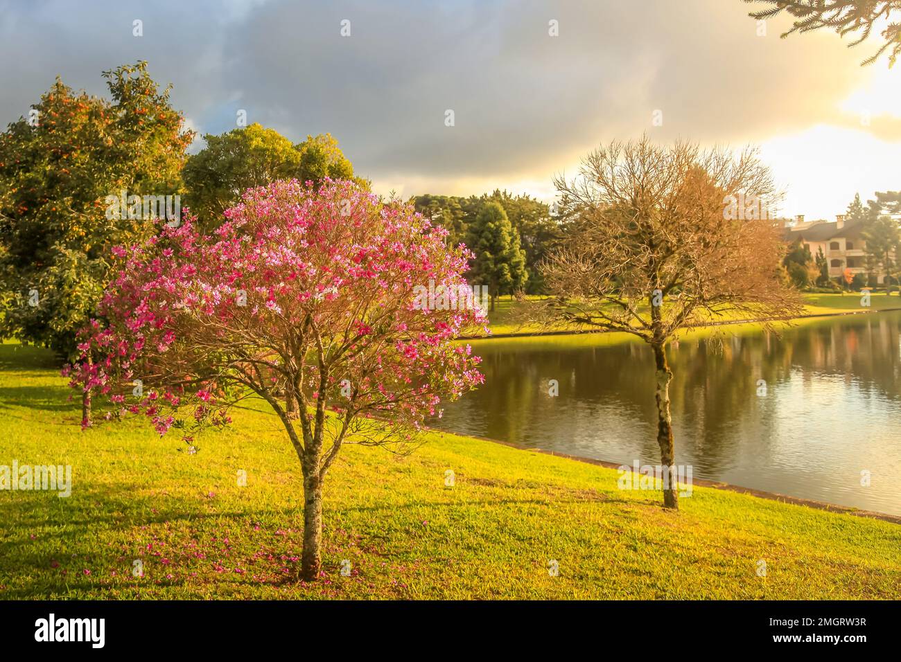 Relaxing sunset landscape with lake reflection at autumn, Gramado ...