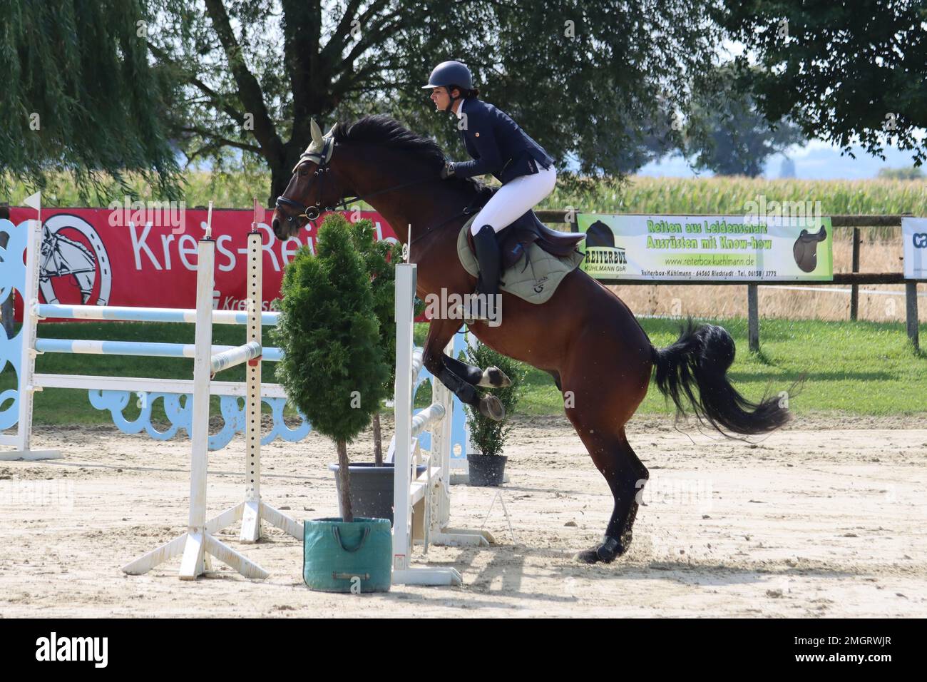 official show jumping tournaments in germany Stock Photo - Alamy