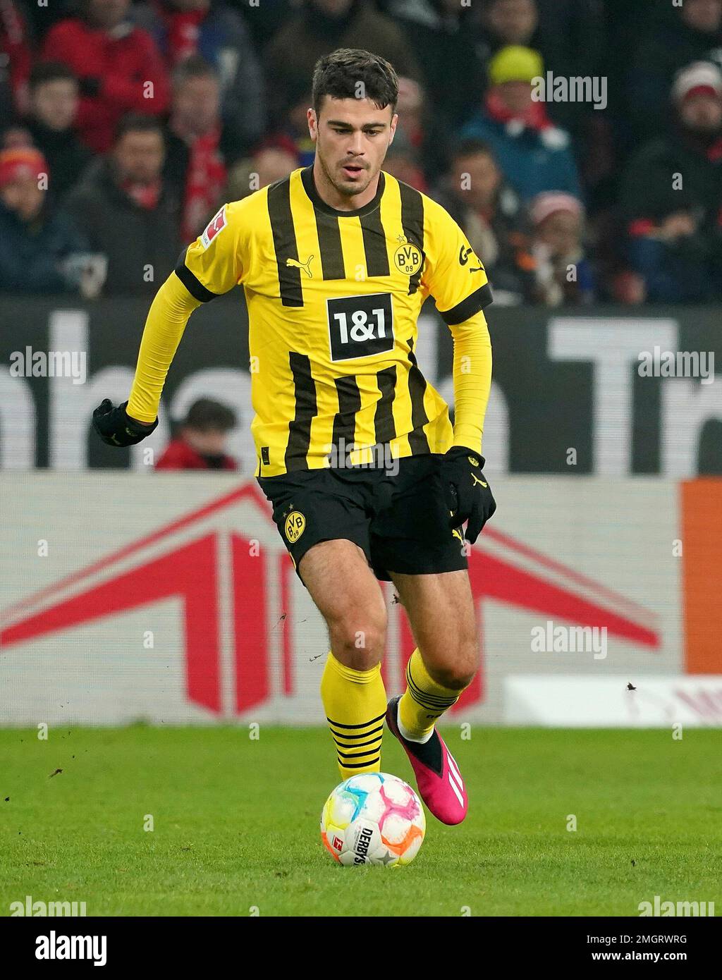 January 25, 2023, MEWA Arena, Mainz, GER, 1.FBL, 1.FSV FSV FSV Mainz 05 ...