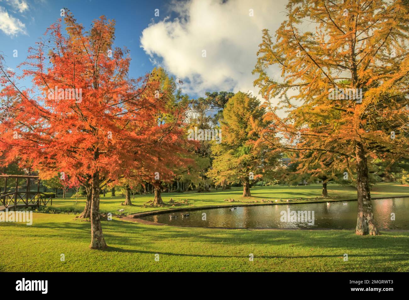 Relaxing sunset landscape with lake reflection at autumn, Gramado ...
