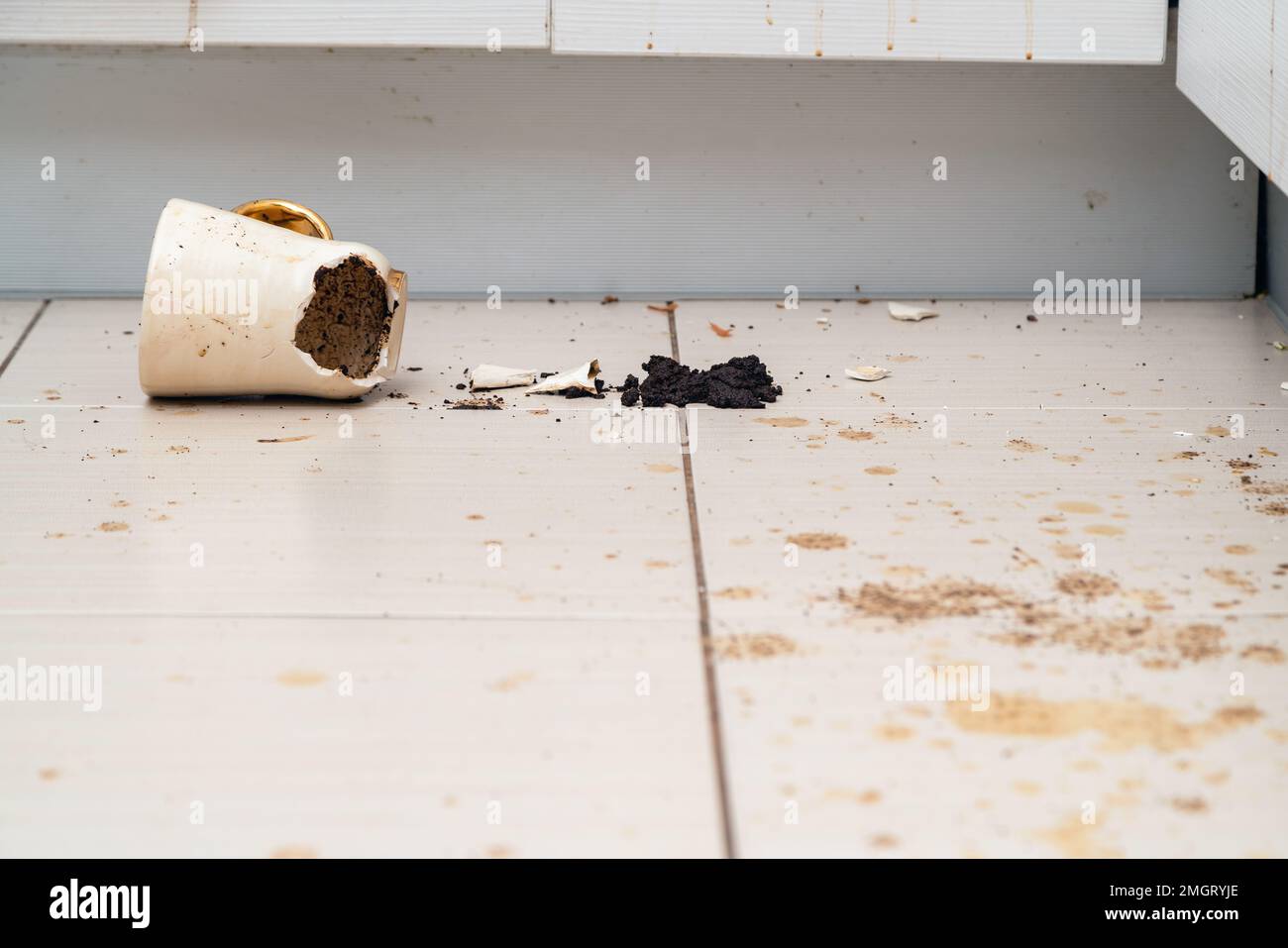 Broken cup floor hi-res stock photography and images - Alamy