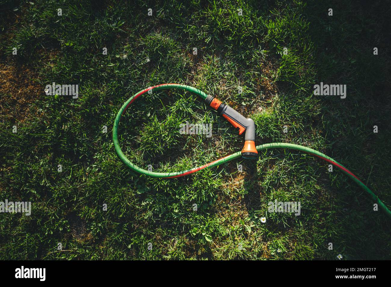 A closeup of a colorful garden hoseon the grass Stock Photo - Alamy