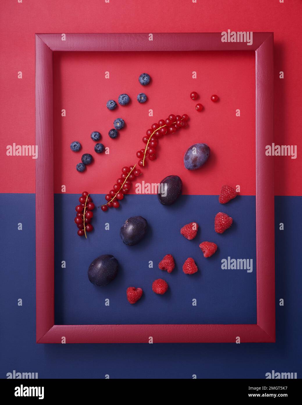 Plum, blueberry, raspberry and currant in wooden picture frame on red ...